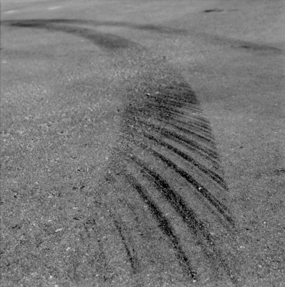 What Causes Tire Skid Marks at Ethel Montoya blog