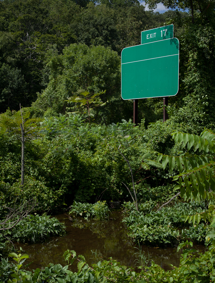 Hesitating Beauty | CLAMP