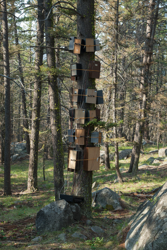 Rob MacInnis | CLAMP