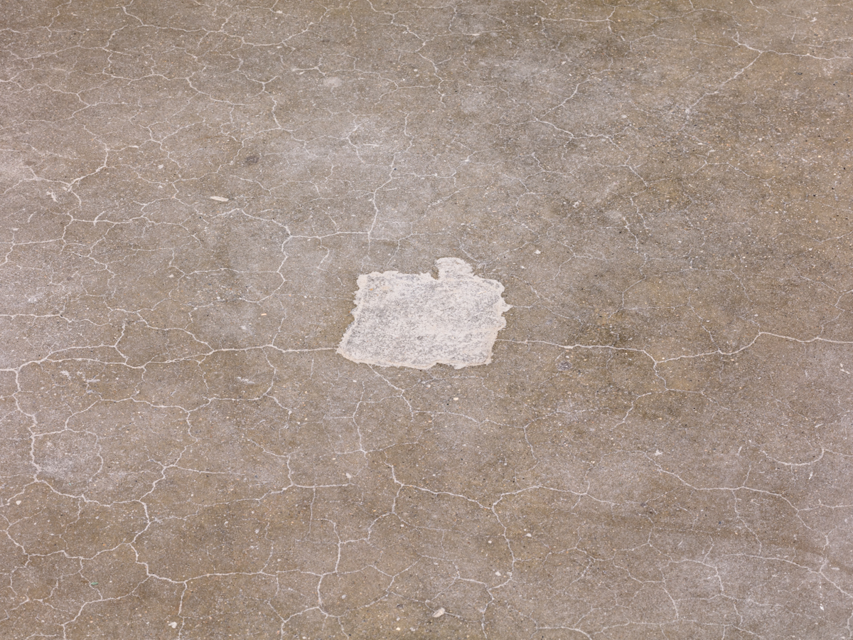 Thomas Wilder, “Untitled” | CLAMP